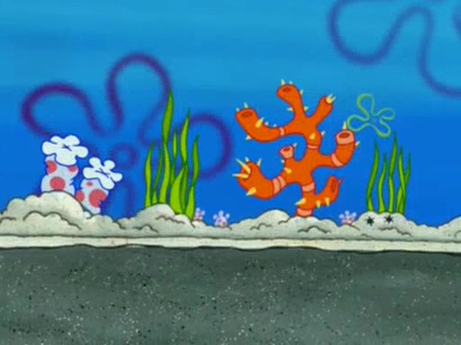 078a | Born to Be Wild | SpongeBob Captures