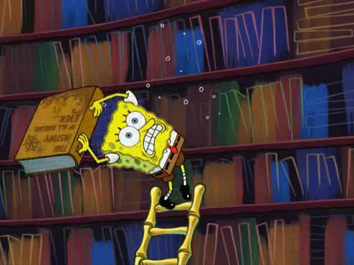 102b | Nautical Novice | SpongeBob Captures